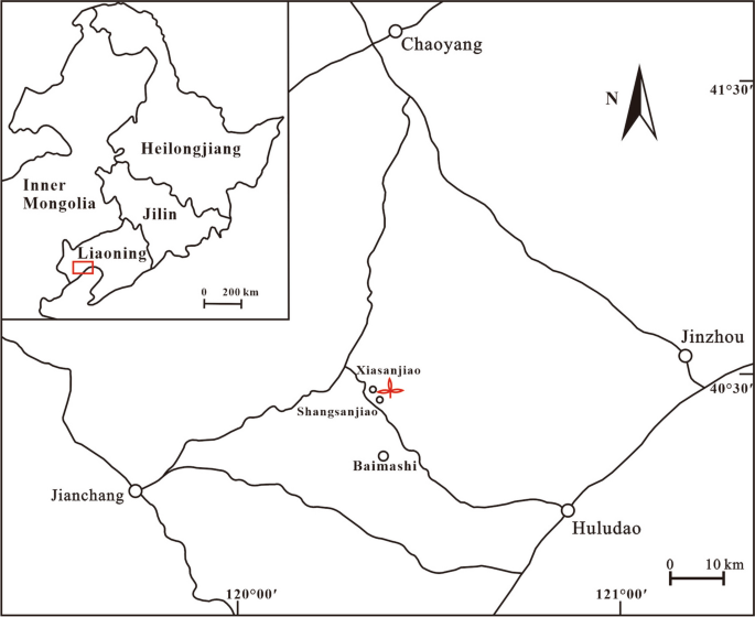 Plant-insect interaction from the Middle Jurassic Haifanggou Formaton ...