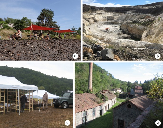 Pre-Quaternary maar lakes/volcanogenic lakes as Konservat Lagerstätten ...