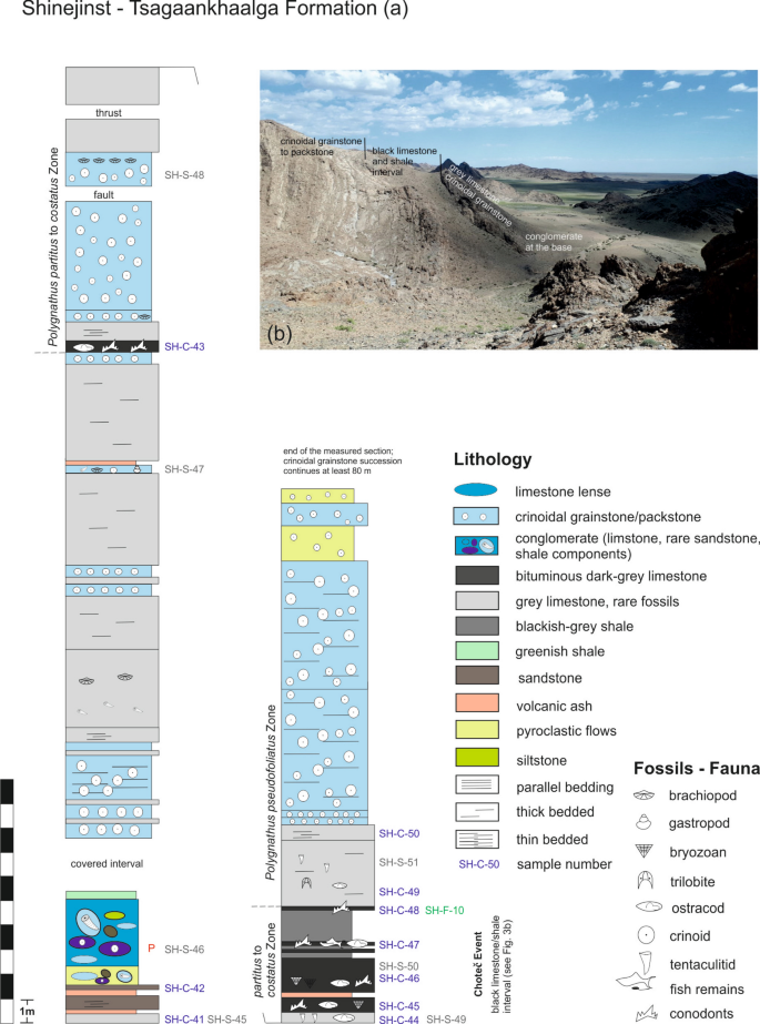 Middle Devonian (Eifelian) ostracods from the Tsagaankhaalga Formation ...