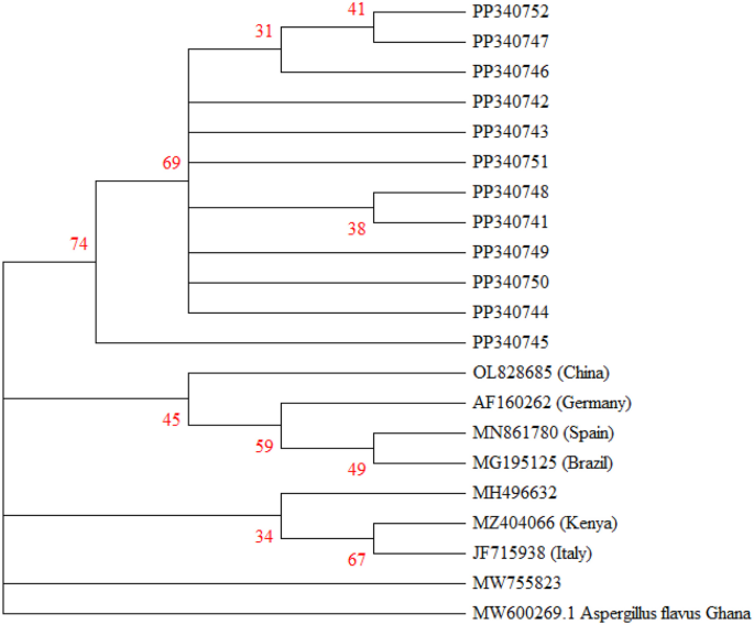 Mycotoxigenic Fusarium species and zearalenone concentration in ...