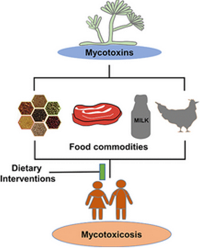 Phosphorene based nano-sensors for mycotoxins in food products: a ...