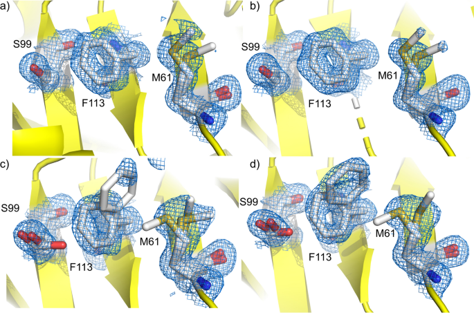 Exploring the dynamics of allostery through multi-dimensional ...