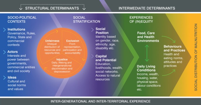 Equity and equality in diets and nutrition: Frameworks, evidence, and ...