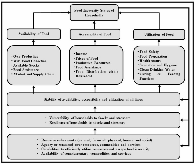 Patterns of rural and urban food insecurity in Afghanistan after August ...