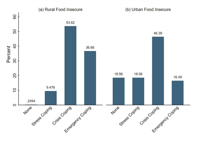 Patterns of rural and urban food insecurity in Afghanistan after August ...