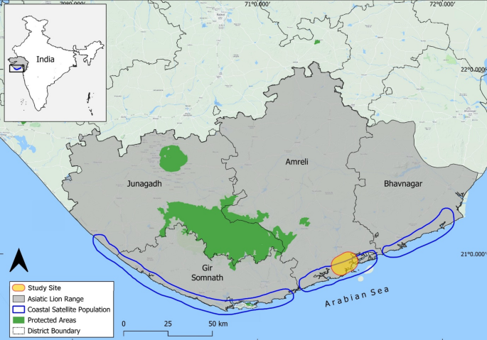 From Forest to Shore: Tracing the Asiatic Lion’s Journey into Mangrove ...