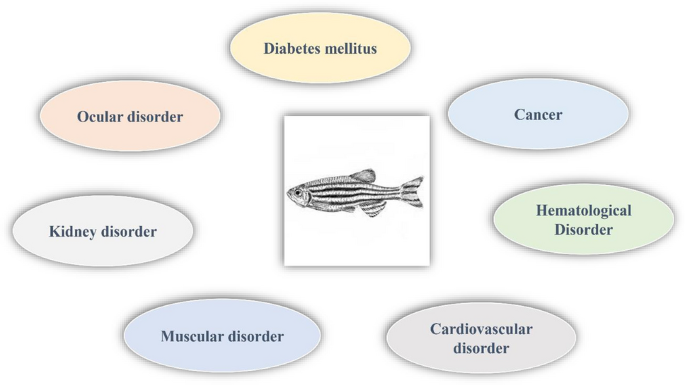Zebrafish: A Research Paradigm for Studying Human Diseases ...