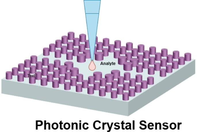High-performance 2D photonic crystal sensor for simultaneous detection ...