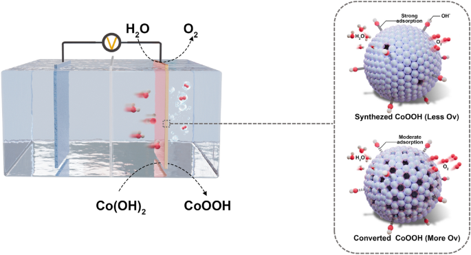 Co(OH)2 vs. CoOOH: understanding the origin of in-situ converted ...