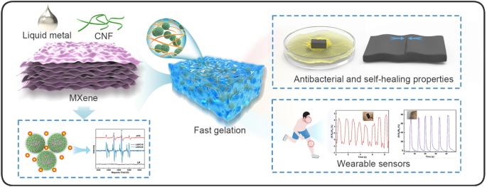 Rapidly polymerized multifunctional hydrogel sensor initiated by ...
