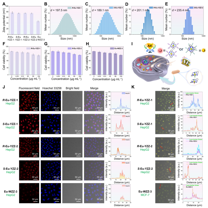Dynamic chiral Eu(III) complex emitters with molecular rotor-regulated ...