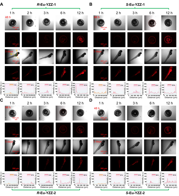 Dynamic chiral Eu(III) complex emitters with molecular rotor-regulated ...