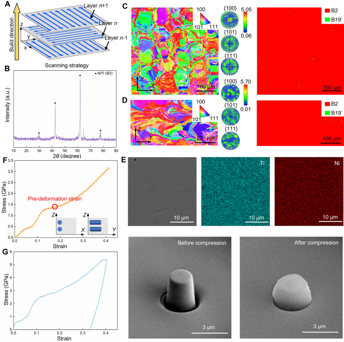Synergistic strengthening of additively manufactured NiTi shape memory ...