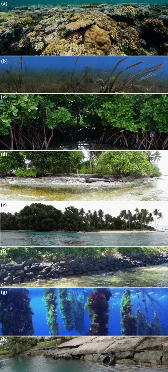 Marine Macrobenthos Diversity of Chuuk Atoll in the Federated States of ...