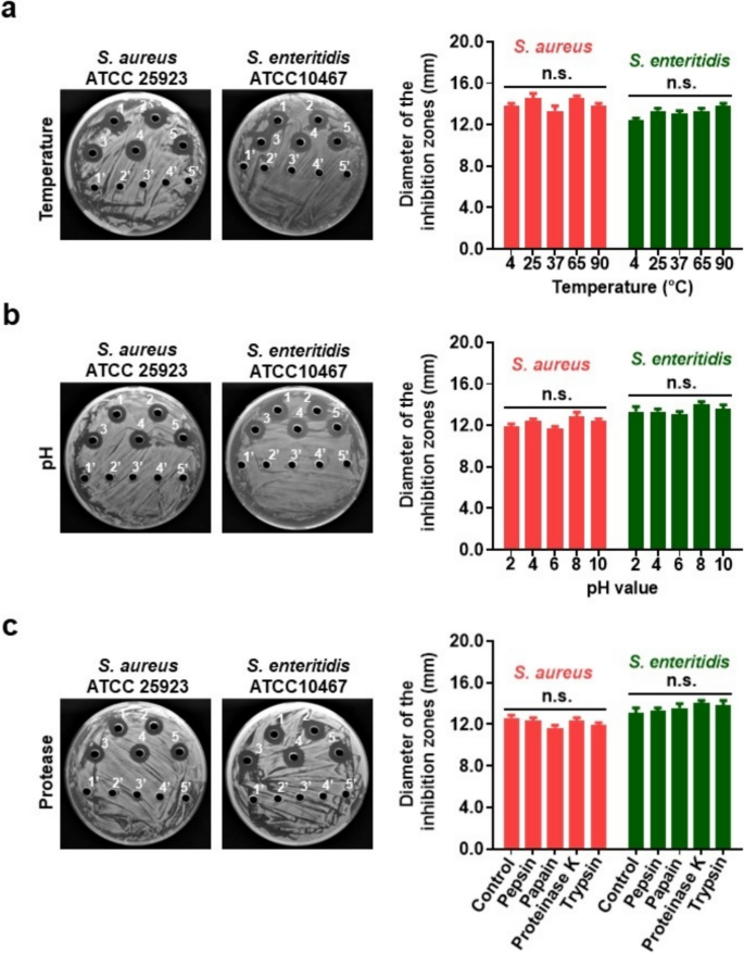 Expression and Characterization of Recombinant Triple Laterosporulin in ...