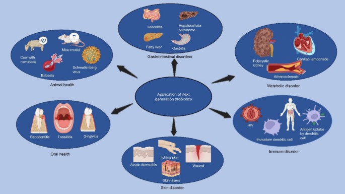 A Review of Next-Generation Probiotics—As a Gateway to Biotherapeutics ...