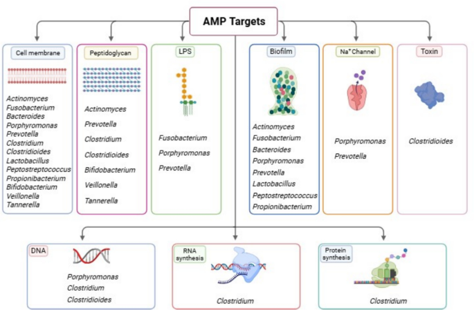 Natural and synthetic antimicrobial peptides against anaerobic bacteria ...