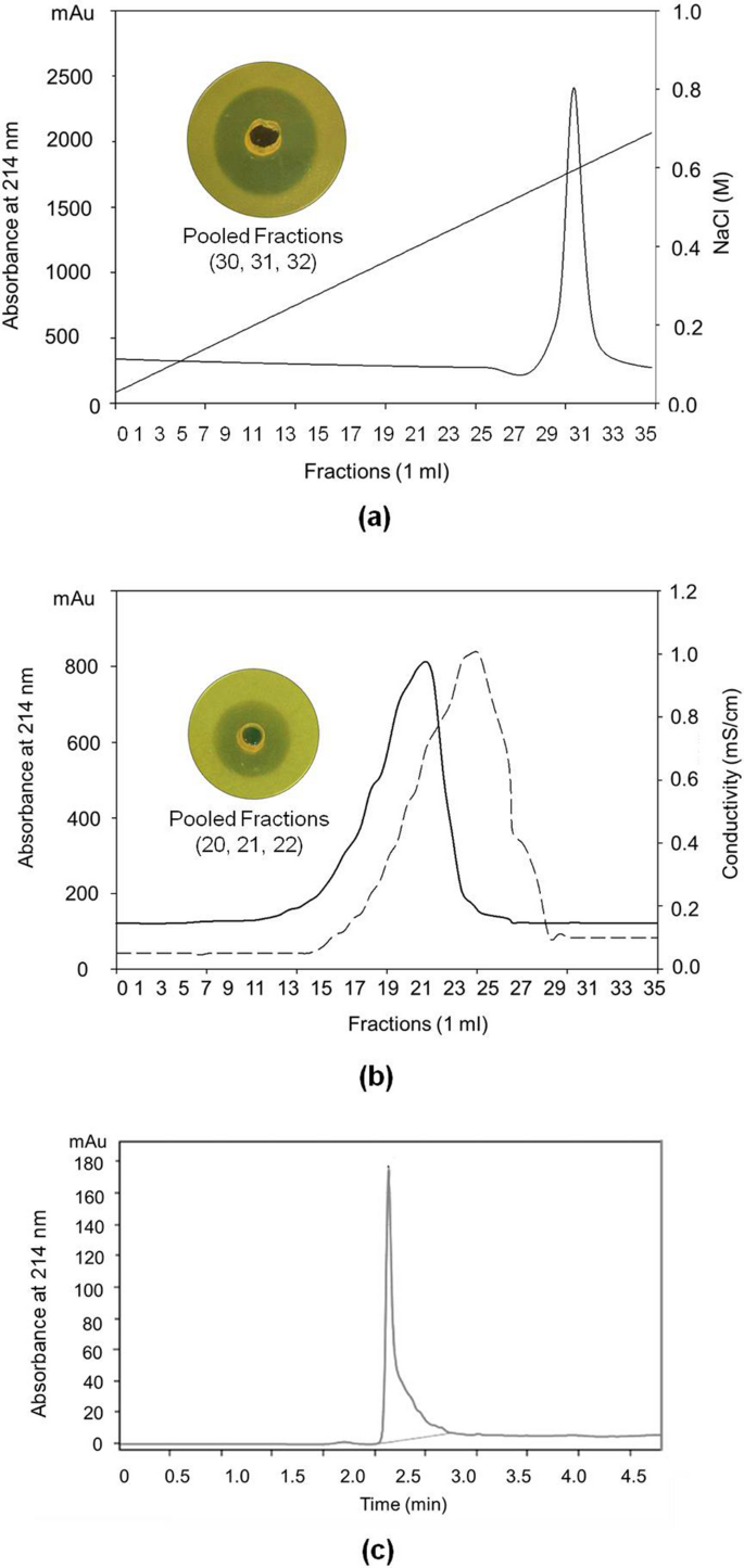 Safety Assessment of Enterocin LD3 Purified from a Food-Grade ...
