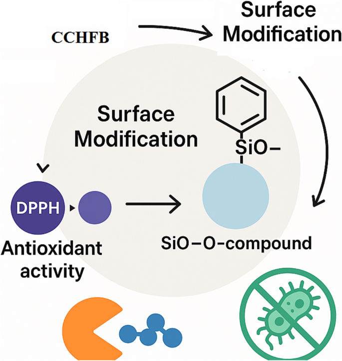 Functionalization of Halo-Hydroxy Benzimidazole onto SiO2 Nanoparticles ...