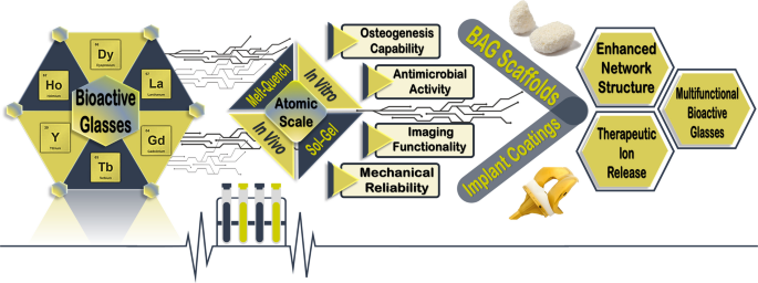 Advanced Rare-Earth Doped Bioactive Glasses: A Comprehensive Review on ...
