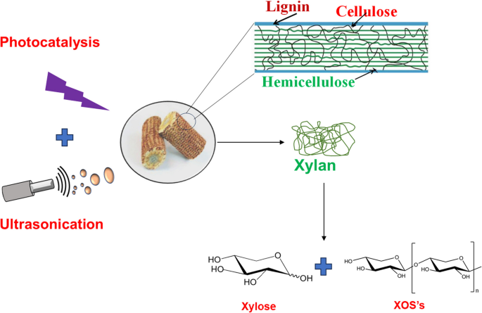 Sonophotocatalysis for Enhanced Extraction of Corn Cob Xylan and ...
