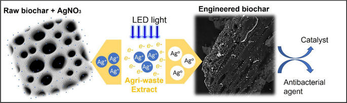 Engineered Biochar: Novel Silver Loading onto Biochar Using Agri-waste ...