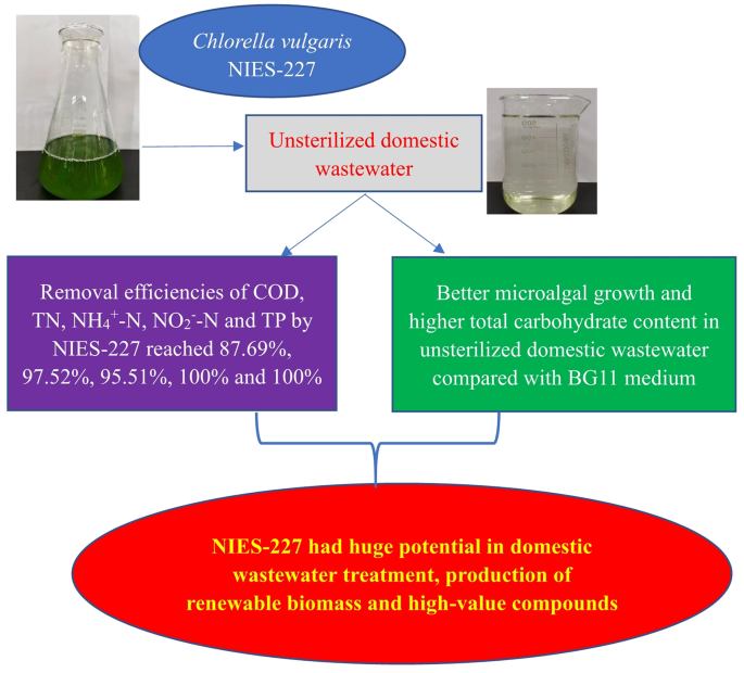 Biomass Production and Nutrient Removal Using Culture of Chlorella vulgaris NIES-227 in ...
