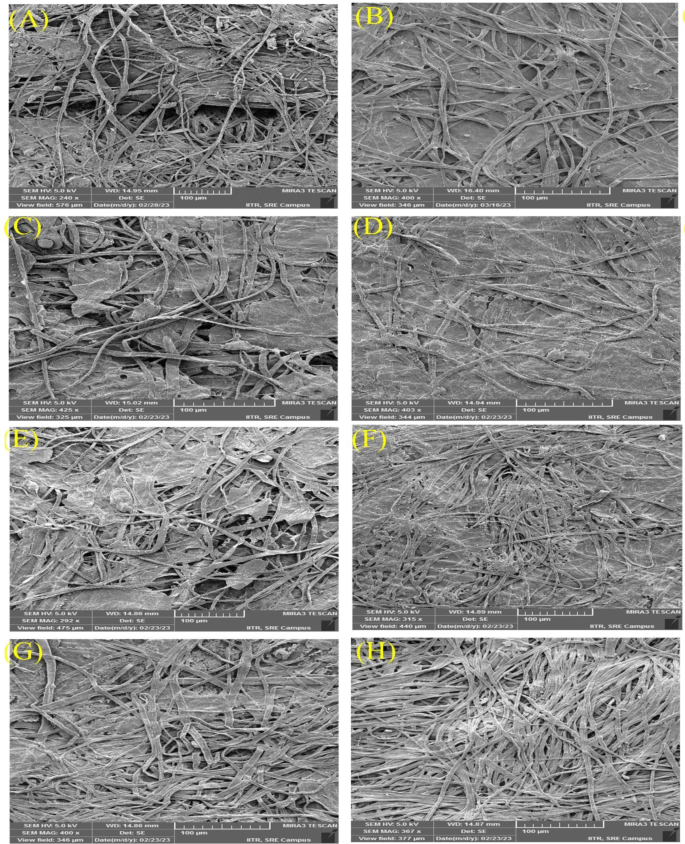 Impact Assessment of Chemical Dose Variations on Projected Soda and ...