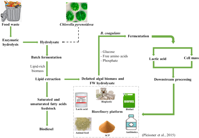 Biotechnological Strategies and Perspectives for Food Waste Treatment ...