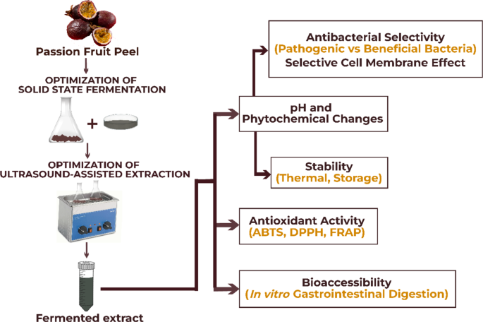 Biochemical Conversion of Passion Fruit Waste Into Highly Bioaccessible ...