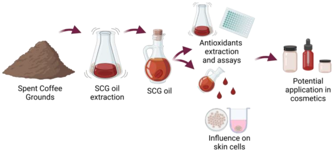 Research on Spent Coffee Grounds: From Oil Extraction to its Potential ...