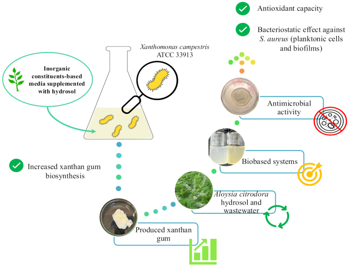 Circular Valorisation of Essential Oil Post-distillation by-products ...