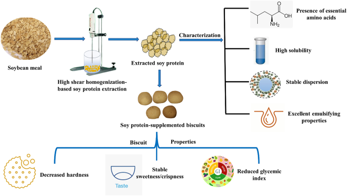 Efficient Extraction and Physicochemical Characterization of Soy ...
