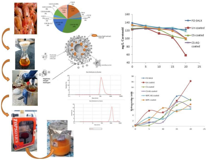 Liposomal Encapsulation of Fish Oil with Whiteleg Shrimp Waste Lipid ...