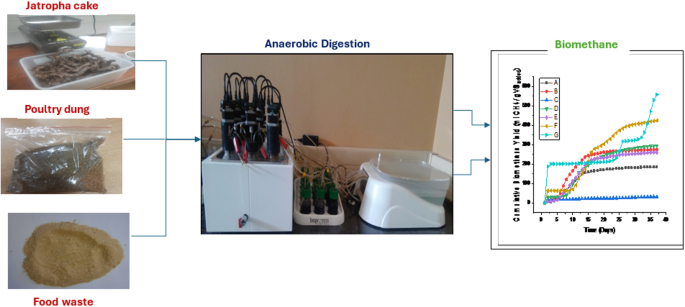 Synergistic Effects of Co-Digestion on Biomethane Yield: Insights from ...