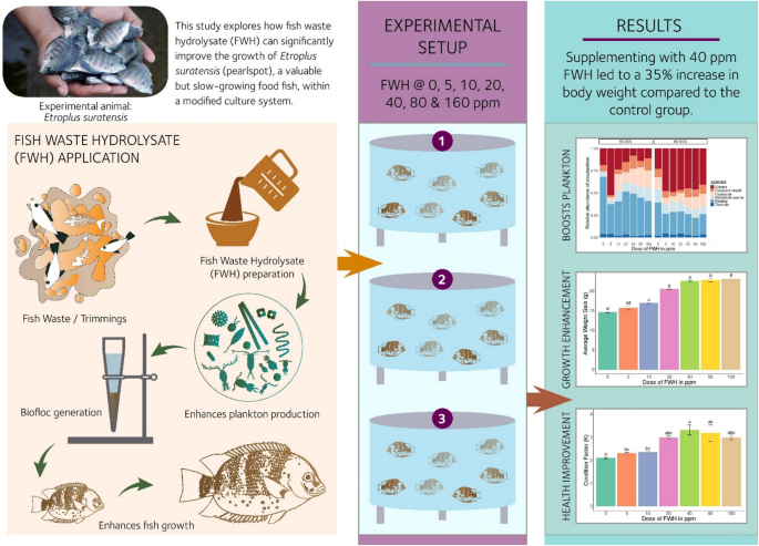 Biowaste to Biomass: Fish Waste Hydrolysate Enhances Growth and Health ...