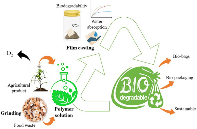 Hybrid Cornstarch and Eggshell Reinforcement for Enhanced Mechanical ...