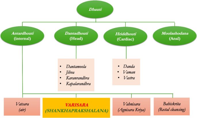 Shankhaprakshalana (Dhauti): The missing link | Indian Journal of ...