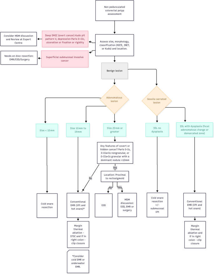 Updates in the endoscopic management of colorectal polyps | Indian ...