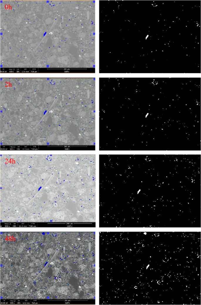 Dynamic evolution mechanism of shale structures under fluid-rock ...