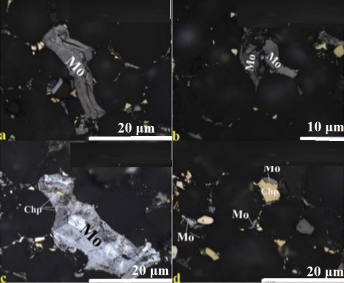 Thermodynamic and Experimental Study of Roasting and Leaching of Low ...