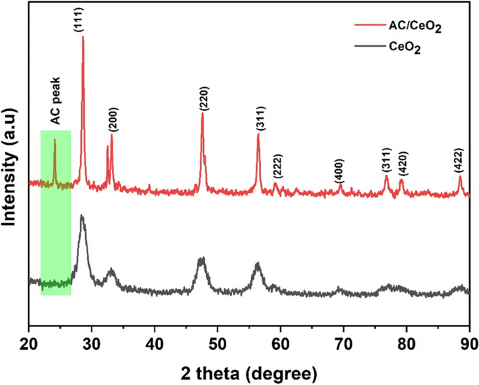 Photocatalytic Performance and Antibacterial Activity of Biomass ...
