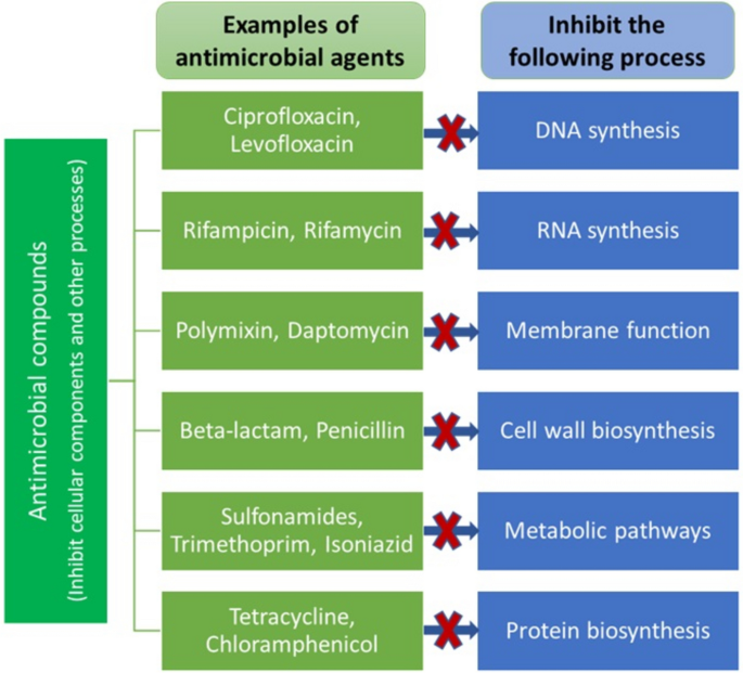 Nanotechnology in Targeted Delivery of Antimicrobials and Overcoming ...