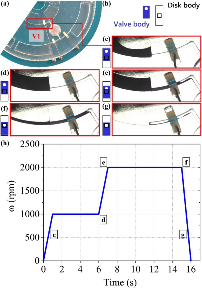 Lab-on-a-Disk Particle Separation Using a Novel Automated Slab Valve ...