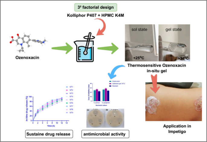 Development and Fabrication of Ozenoxacin Loaded Thermosensitive In-Situ Gel for Impetigo ...