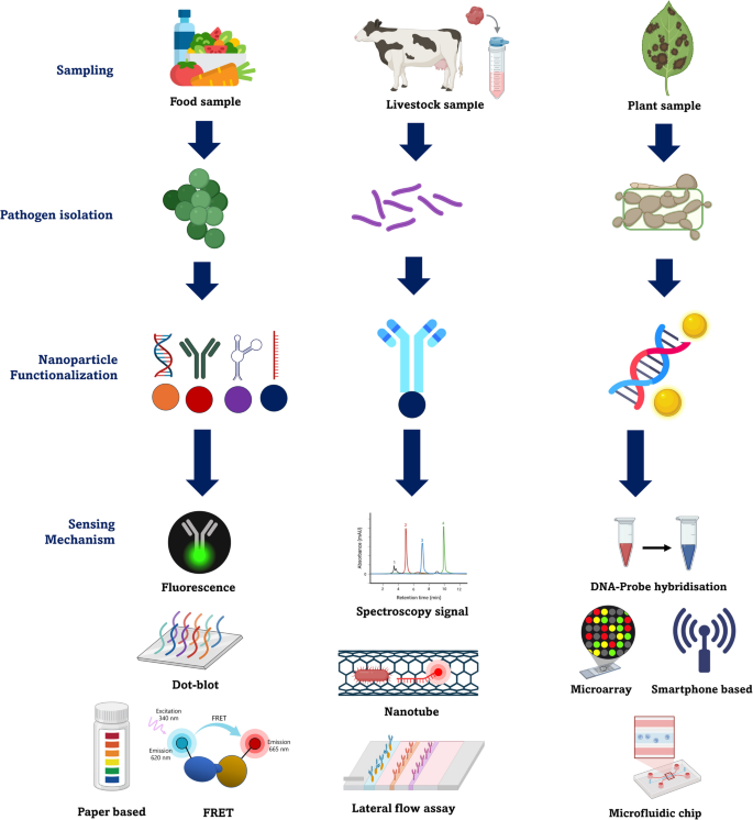 Nanoparticle-Based Biosensors for Pathogen Detection: Current Updates ...