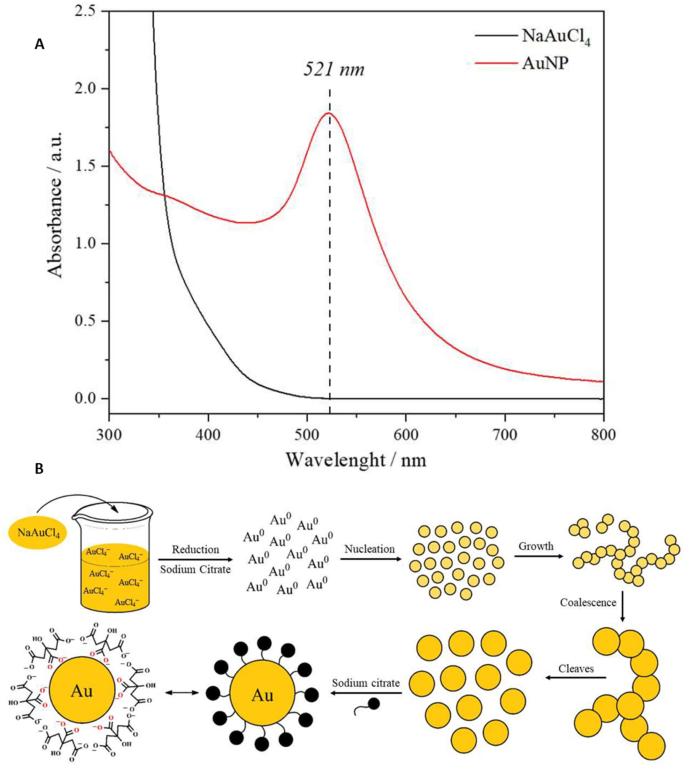 Advances on Gold Nanoparticle-based Biosensors for Detection of SARS ...