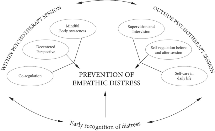 Psychotherapists’ Mindful Awareness and Self-Regulation in the ...