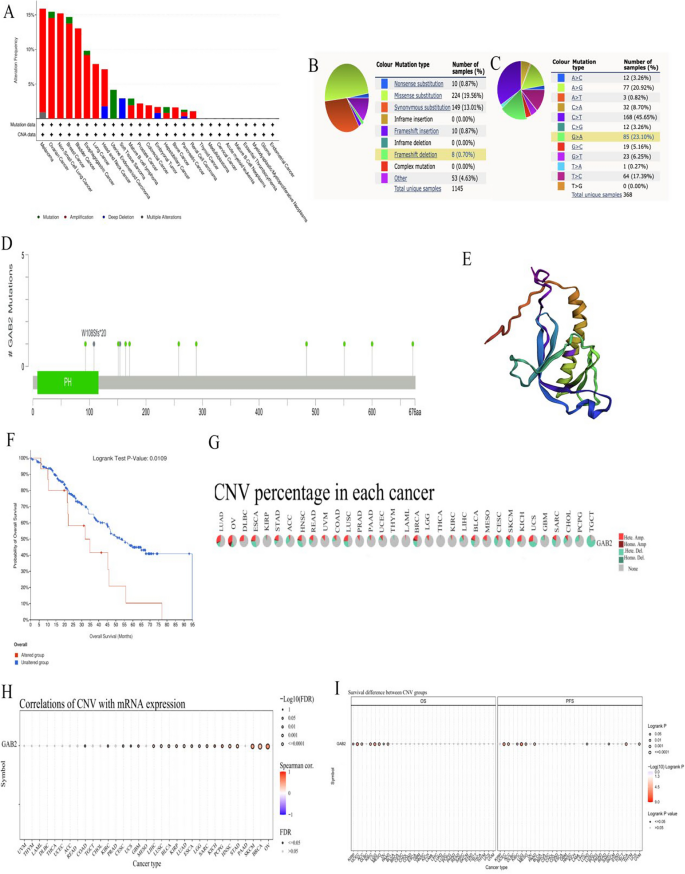 An analysis of the role of GAB2 in pan-cancer from a multidimensional ...