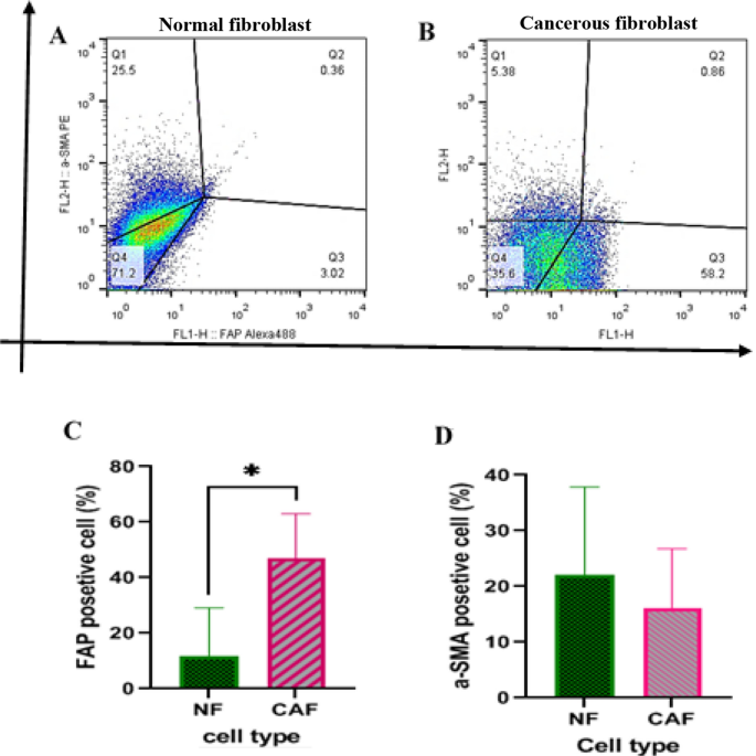 Investigating the effect of Fusobacterium nucleatum on the aggressive ...